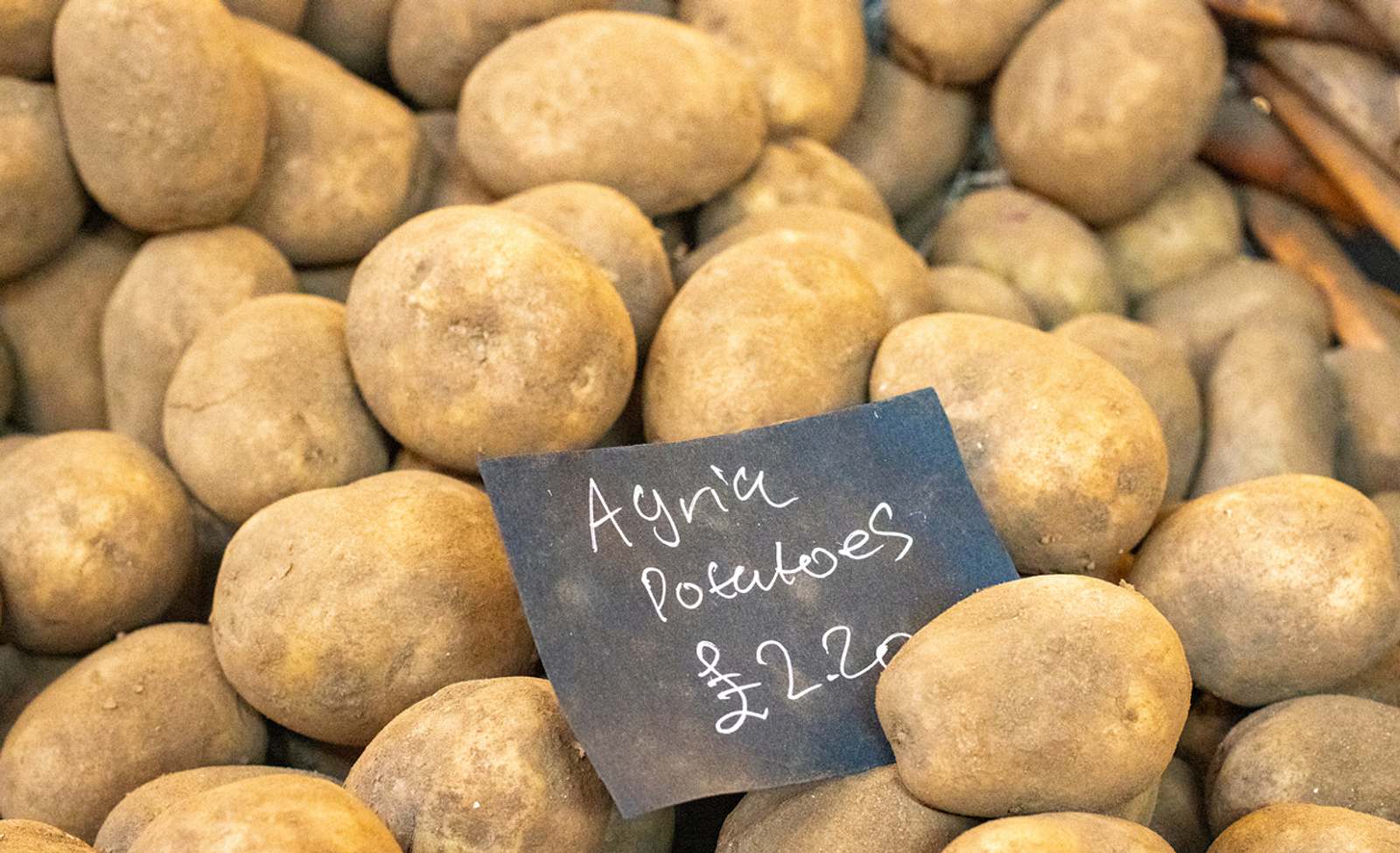 Agria Kartoffel als beliebte Sorte | Die beliebtesten Kartoffelsorten ...