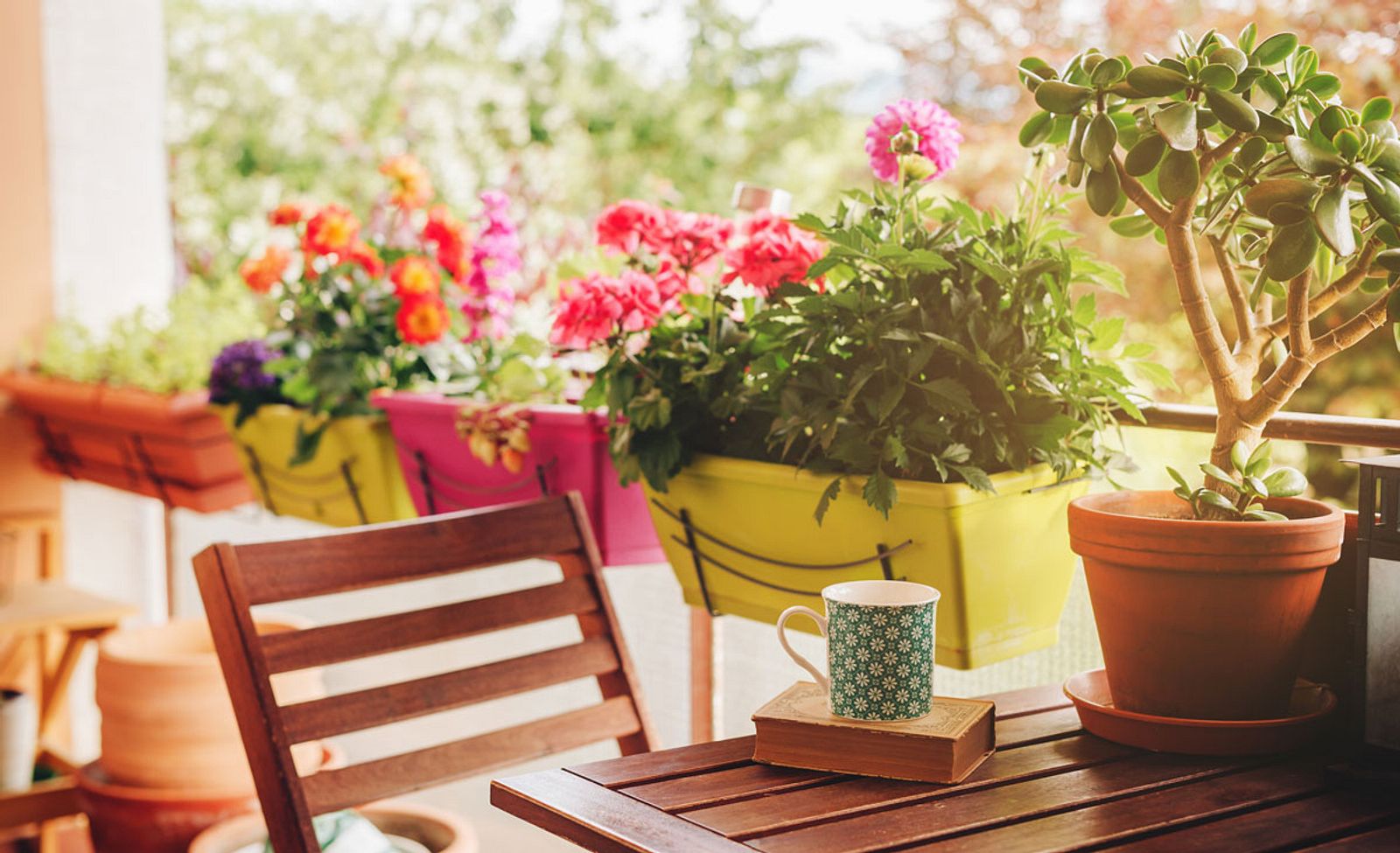 Balkonpflanzen halbschattig | selbst.de