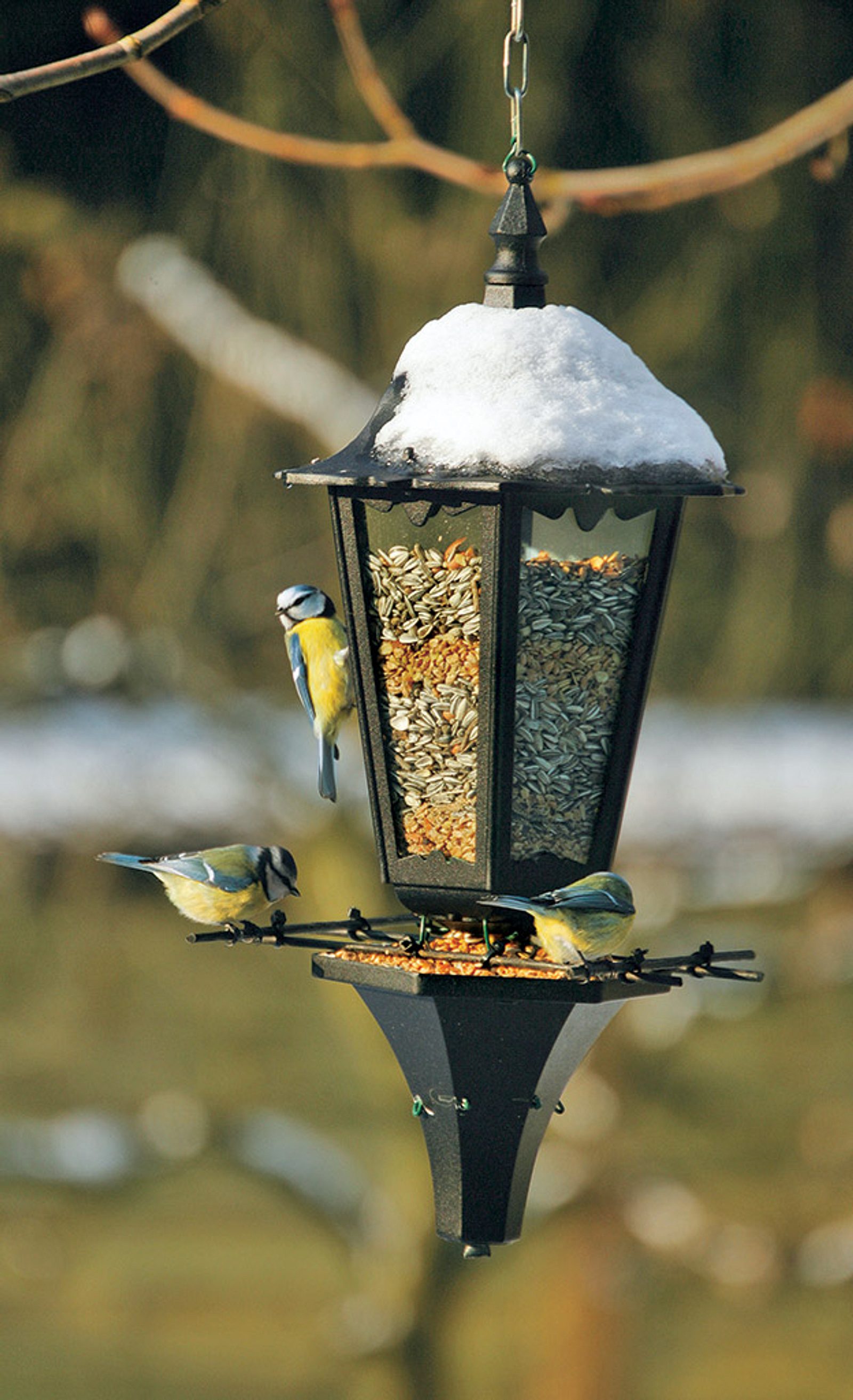 Futterhaus bauen | selbst.de