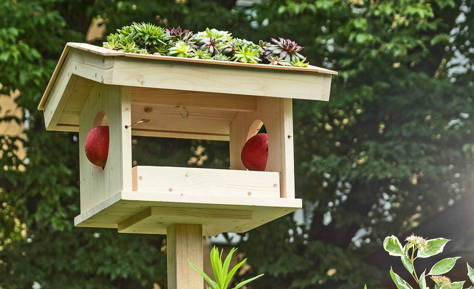Bodenfutterstation Fur Vogel Selber Bauen