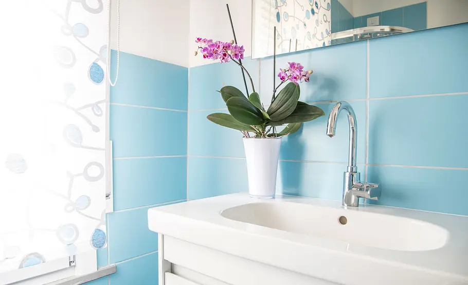 Erstaunlich Orchideen Standort Badezimmer Fotos