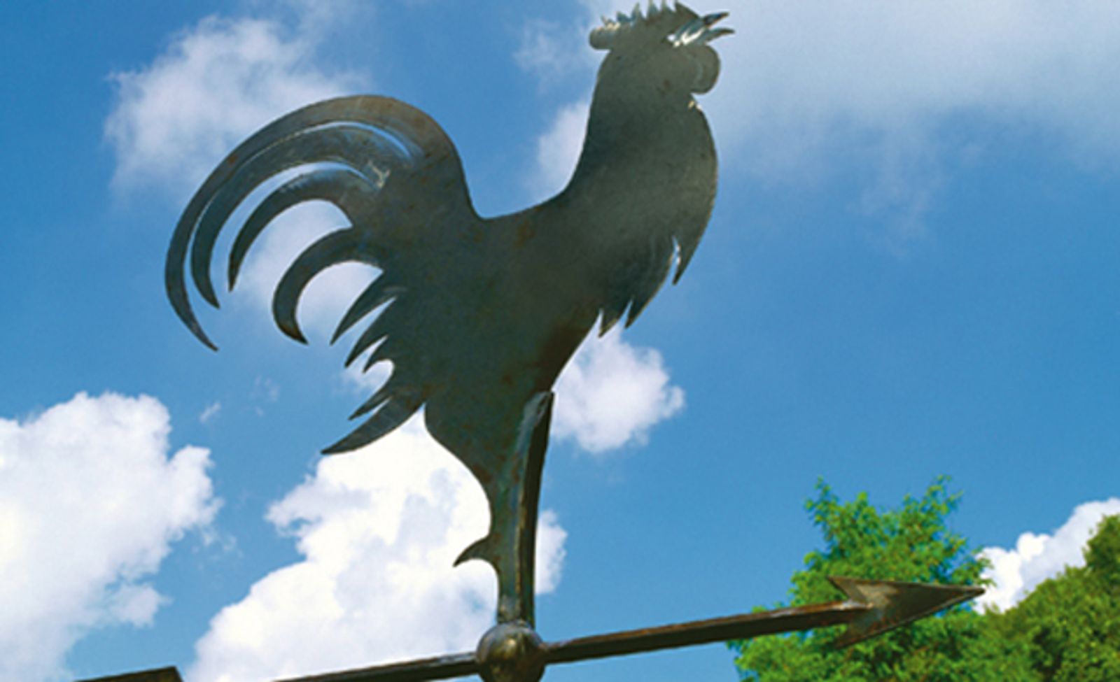 Bauernregeln | selbst.de