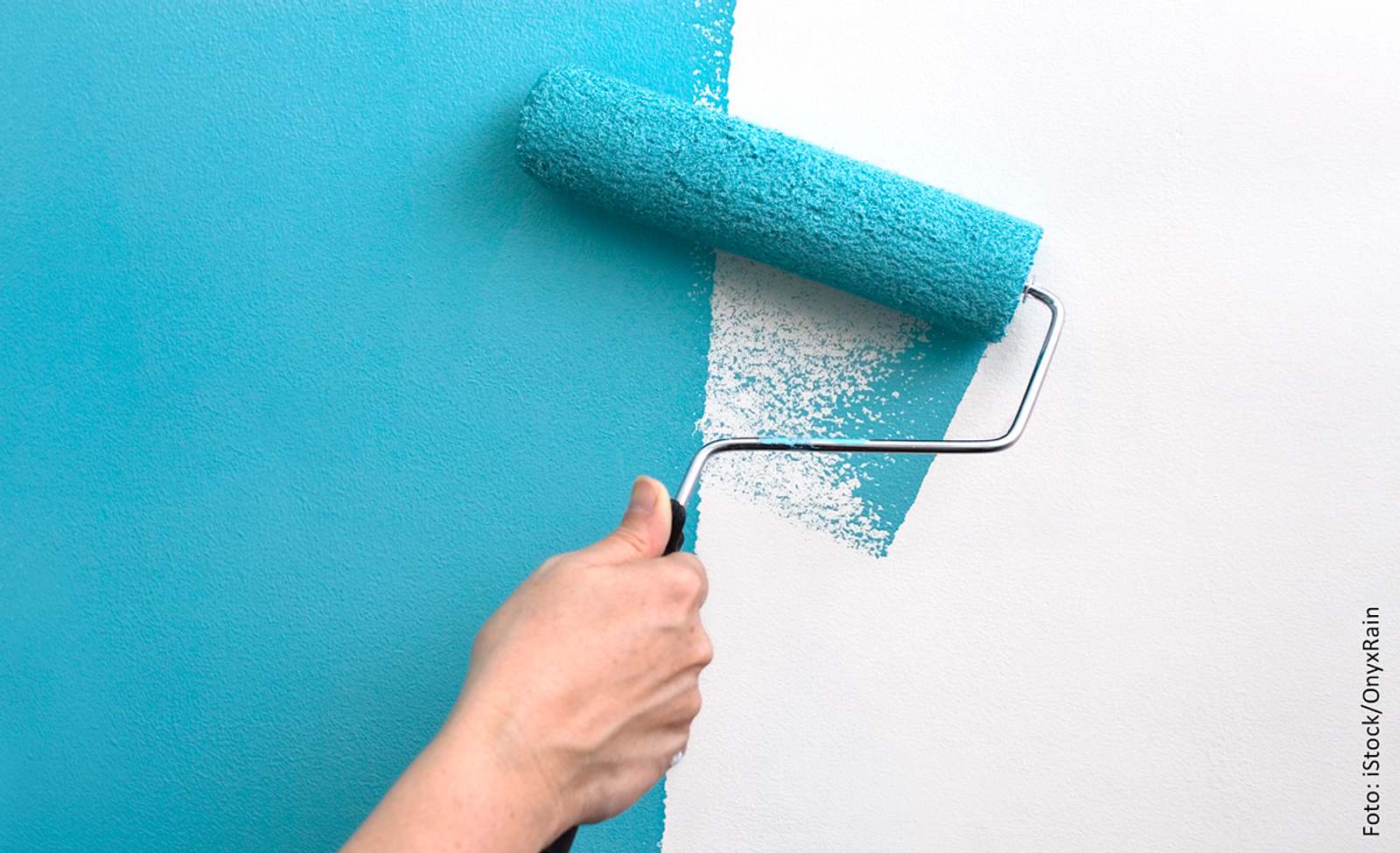 Die perfekte Farbe: 20 Profi-Tipps zum Wand streichen | selbst.de